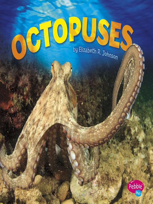 Libby - Octopuses
